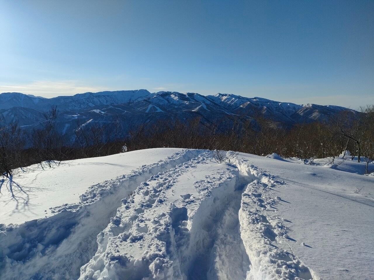 BCハイクアップルートから東谷山…ログ下りが消えました😅 / GanjaEXさんの仙ノ倉山・平標山・大源太山の活動データ | YAMAP / ヤマップ