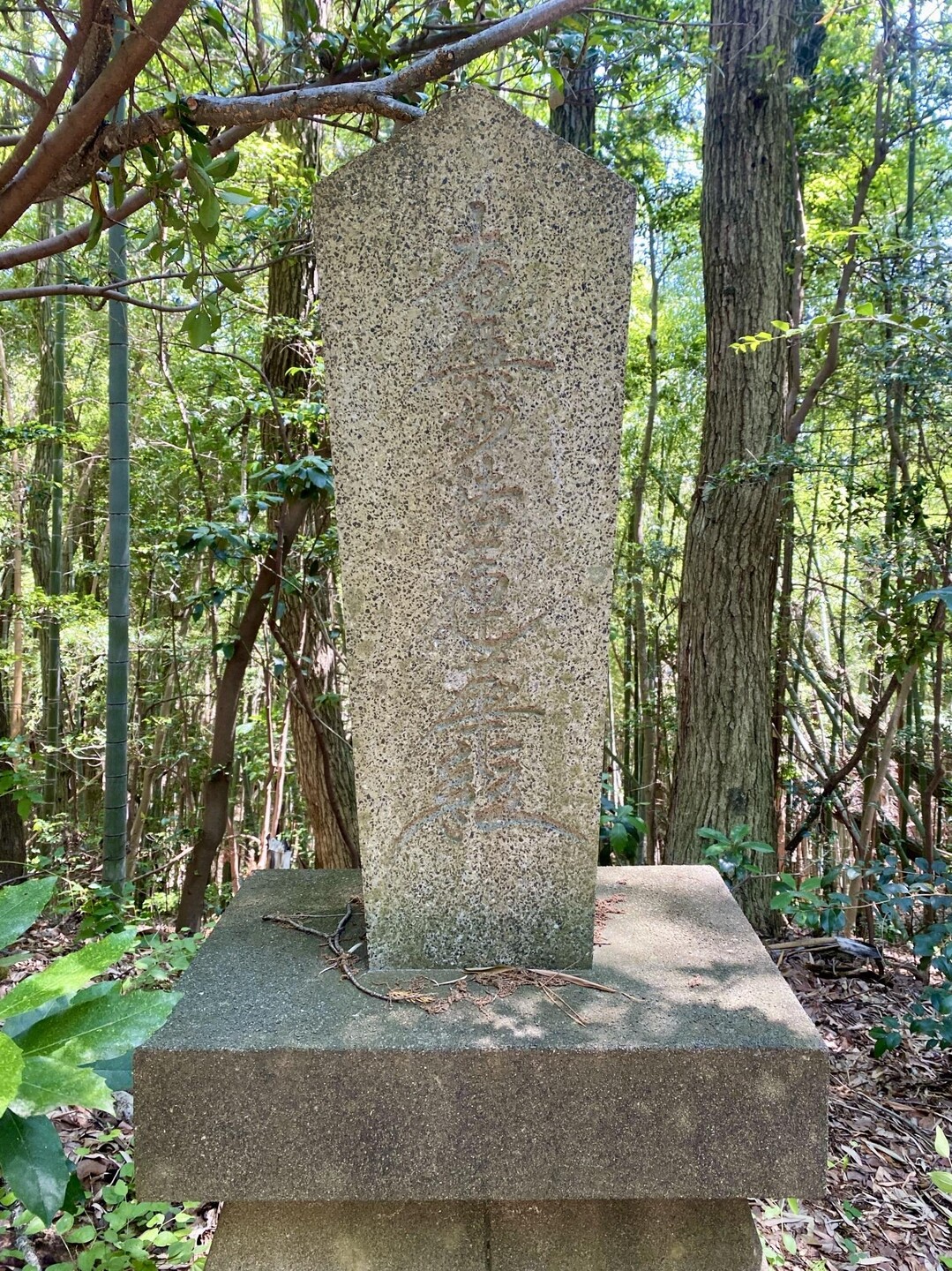 第2回「こんぴら巡り」で見た仏塔 番... / Hisataka Gotoさんのモーメント | YAMAP / ヤマップ