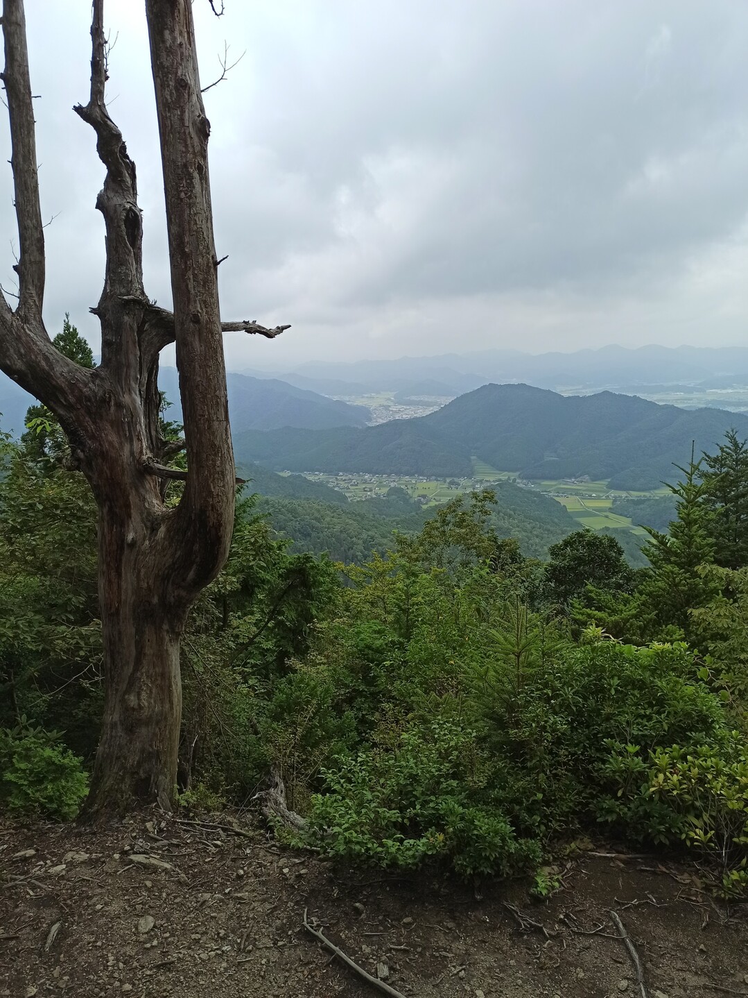 愛宕山 / kost_japさんの白髪岳・松尾山・西寺山の活動データ | YAMAP / ヤマップ
