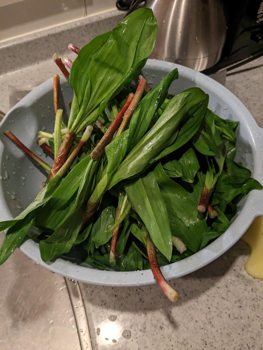 これ、しばらく山は行けませんね。 シーズ... / doaraさんのモーメント | YAMAP / ヤマップ