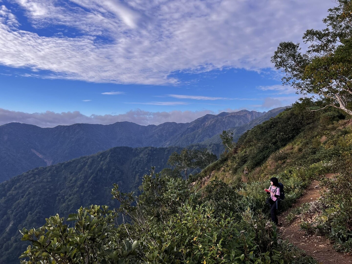 大倉山・白山（御前峰）・大汝峰 / hikoさんの白山・別山・銚子ヶ峰の活動データ | YAMAP / ヤマップ