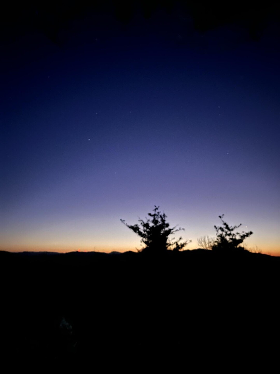 2025年登り初めは納古山から🌄 / Yu-min.Kさんの納古山の活動データ | YAMAP / ヤマップ