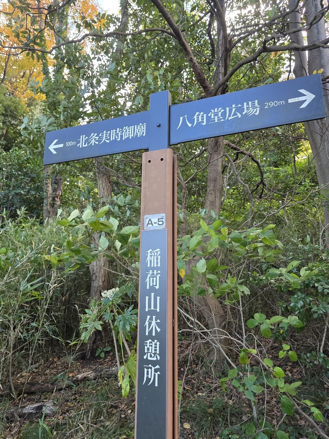 金沢山・稲荷山・日向山 / mtc0190さんの金沢山・稲荷山・日向山の活動データ | YAMAP / ヤマップ