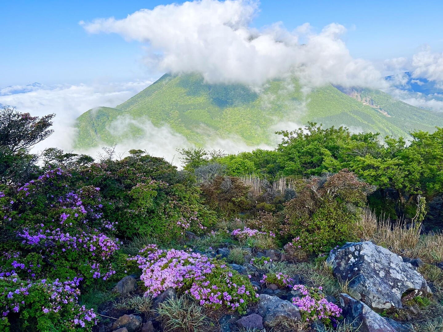 南平台299・鶴見岳300☺️ / Ybayさんの由布岳・鶴見岳の活動日記 | YAMAP / ヤマップ