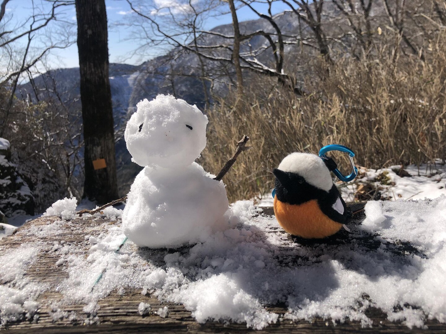 山伏 / Samさんのウォーキングの活動データ | YAMAP / ヤマップ