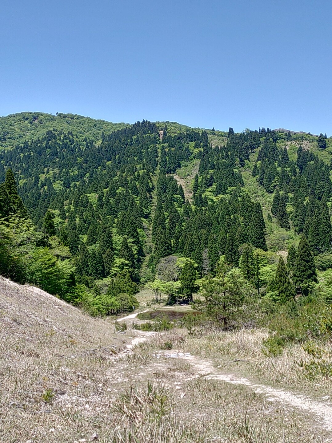 武奈ヶ岳 / R.hondaさんの比良山地・武奈ヶ岳・釈迦岳の活動データ | YAMAP / ヤマップ