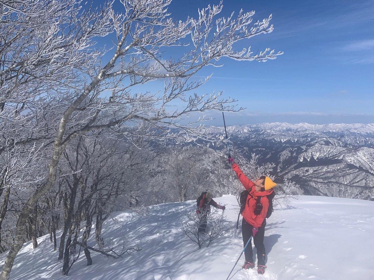 360°美し過ぎた★銀杏峯 / サチさんの銀杏峰・部子山の活動データ | YAMAP / ヤマップ