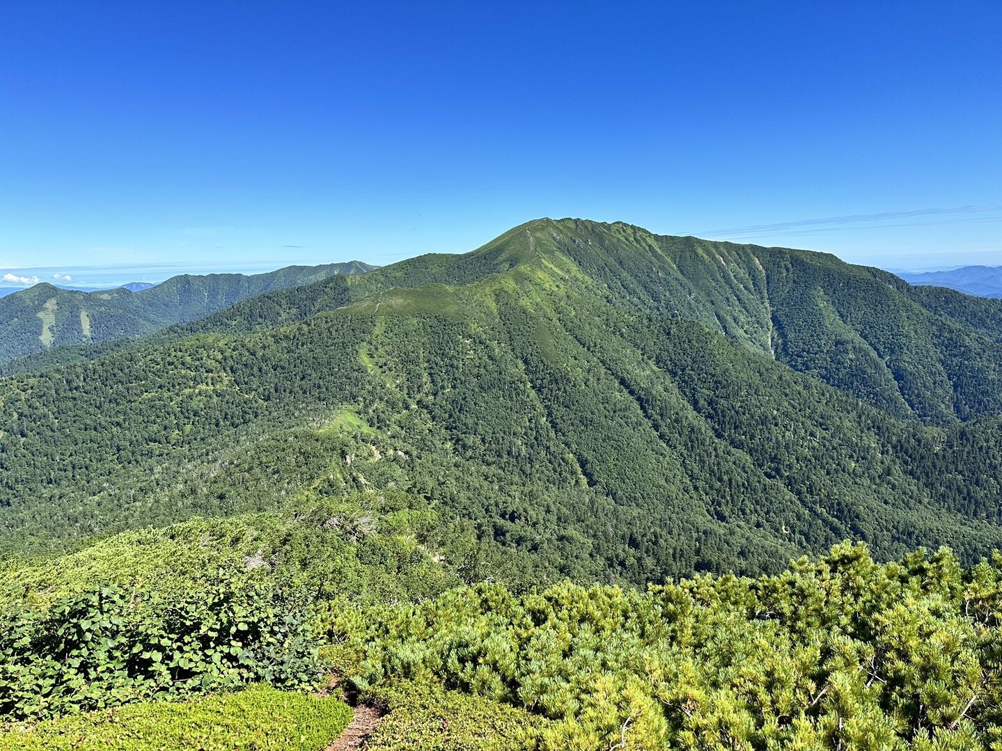 武利岳・武華山・ライオン岩 / masamituさんの武利岳・武華山の活動データ | YAMAP / ヤマップ