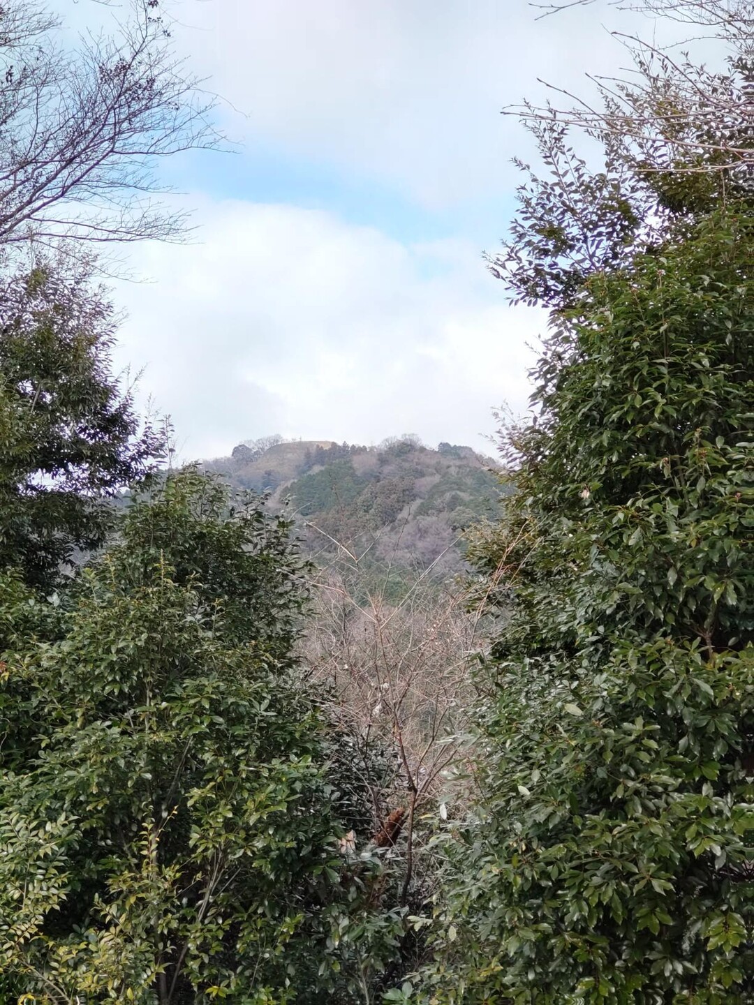 桝形山【312.3m】浄眼寺・枳城跡周回ｺｰｽ / さとちゃんさんの堀坂山・観音岳・桝形山（白米城）の活動データ | YAMAP / ヤマップ