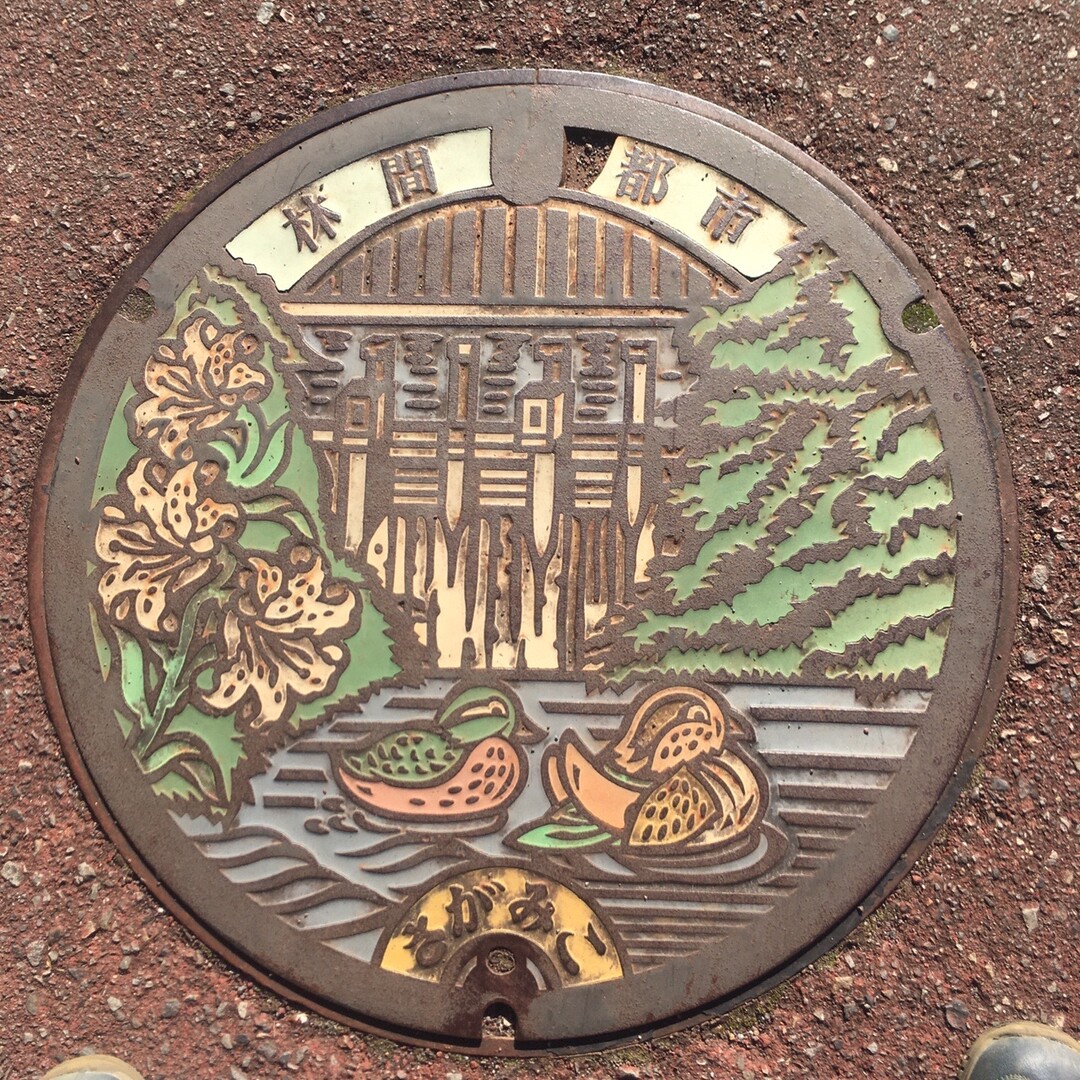 相模原市のマンホール。 鴨がとっても可愛... / Moきのこさんのモーメント | YAMAP / ヤマップ