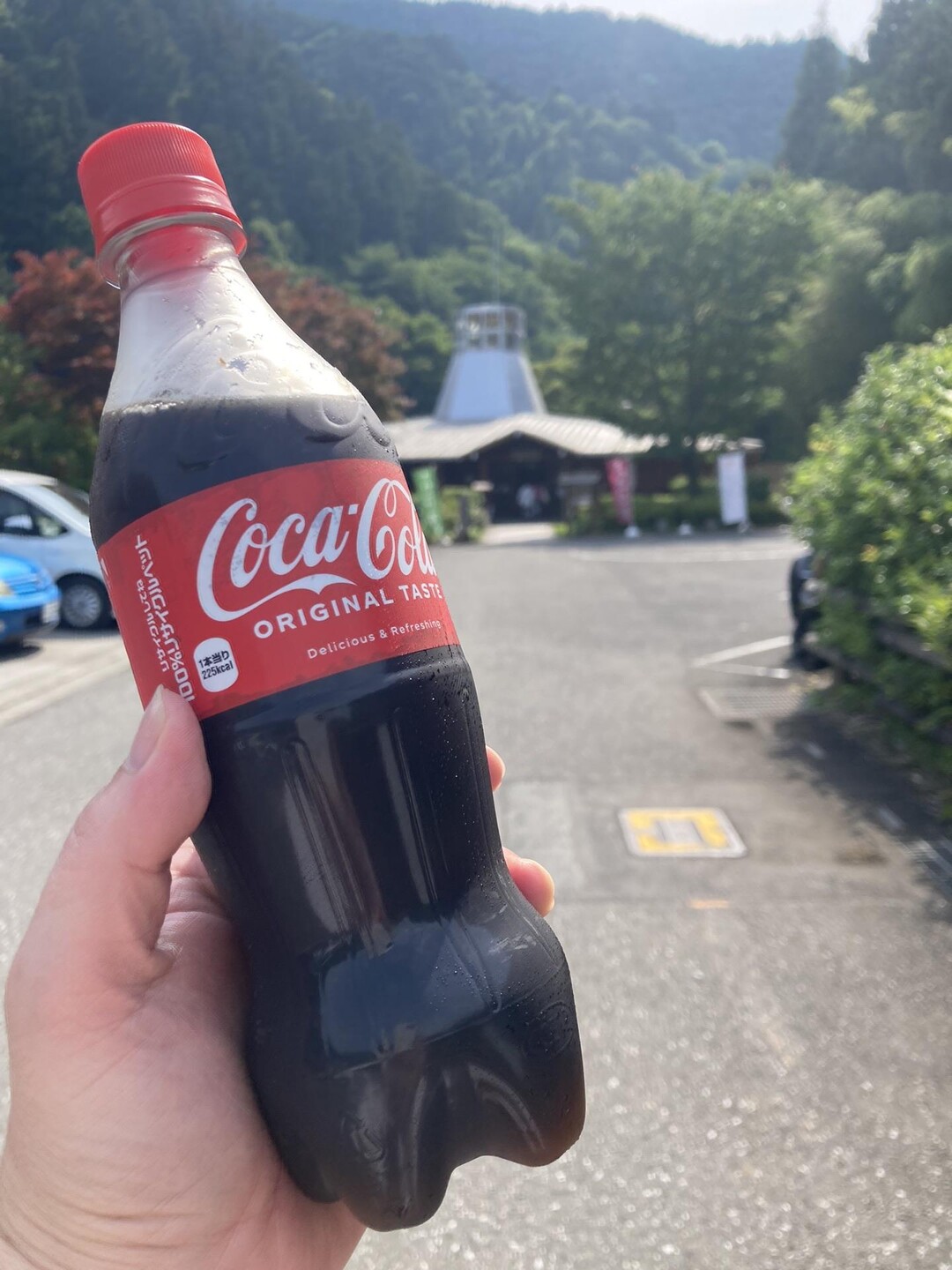 沢沿い道 涼しい 棒ノ折山（棒ノ嶺）-2023-06-18 / you&meさんの棒ノ折山（棒ノ嶺）の活動データ | YAMAP / ヤマップ