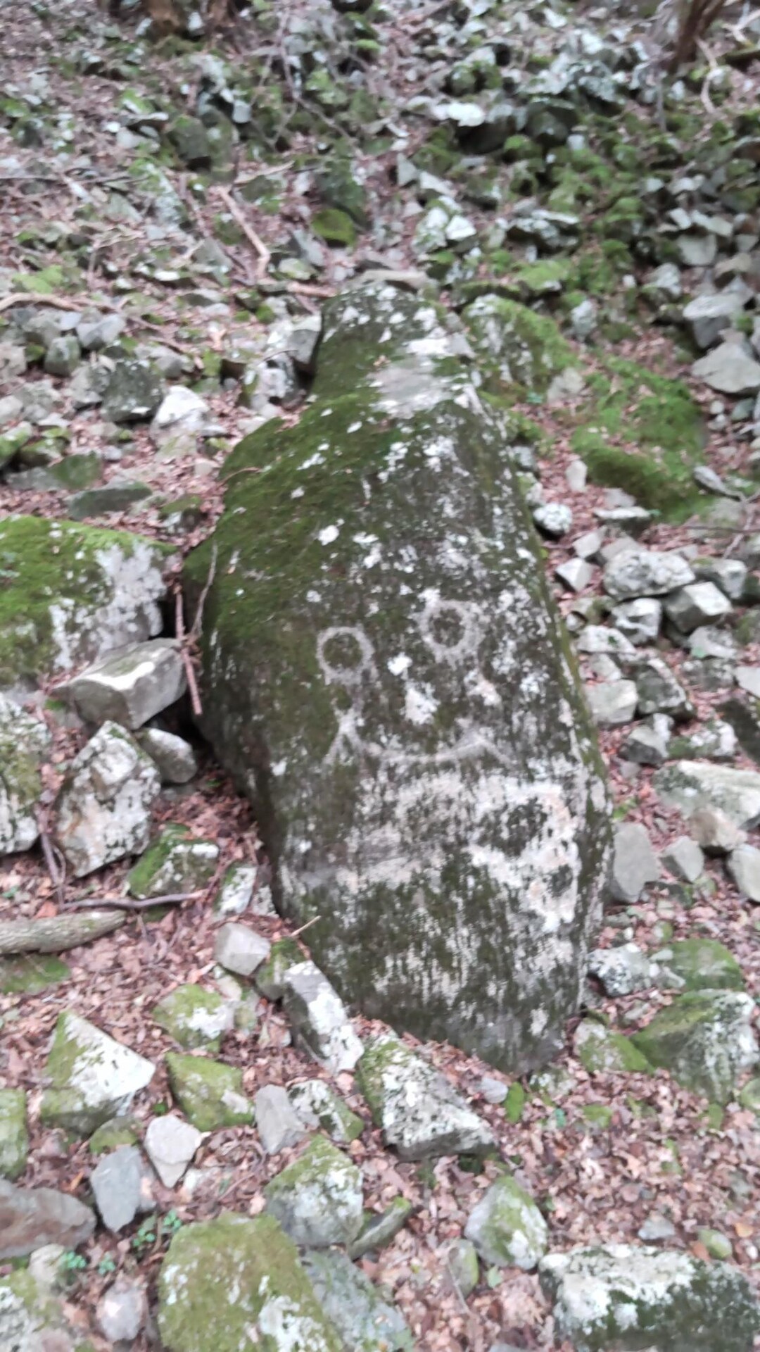 入道ヶ岳 / wakki41さんの入道ヶ岳・鎌ヶ岳・仙ヶ岳の活動データ | YAMAP / ヤマップ