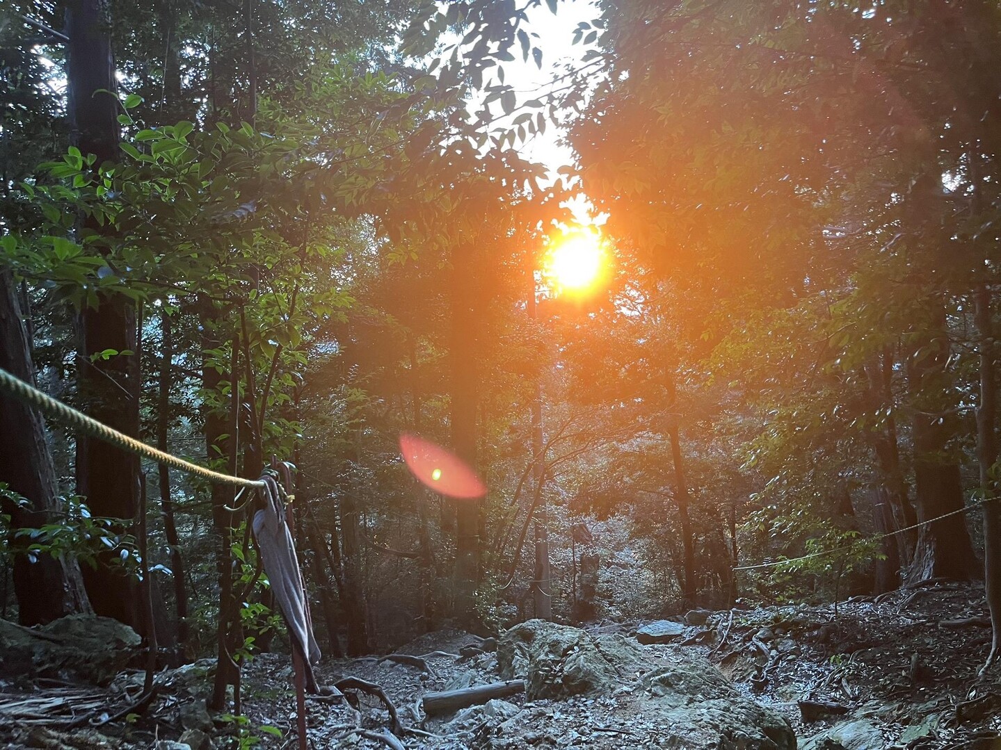 5 km RUN⇒「金華山」 / つきさんの金華山・洞山・舟伏山の活動データ | YAMAP / ヤマップ