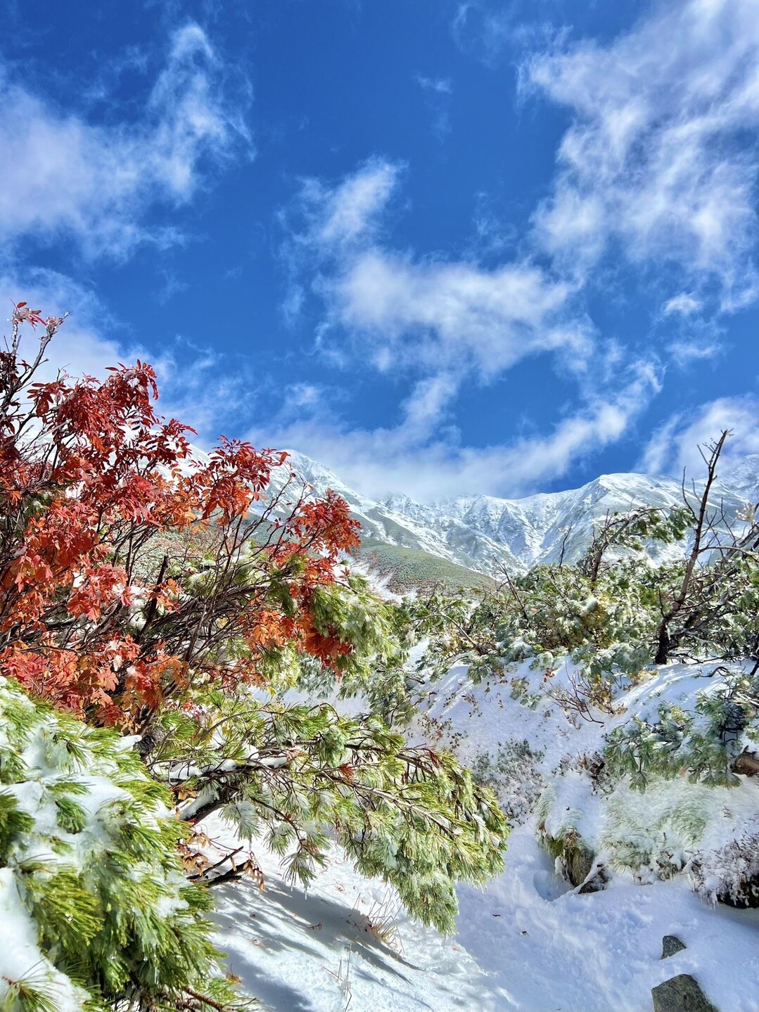 立山・剱御前小舎まで-2023-10-07 / piroさんの立山・雄山・浄土山の活動データ | YAMAP / ヤマップ