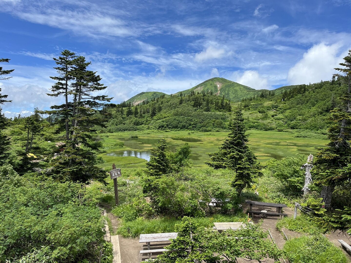 火打山 / maaさんの妙高山・火打山の活動データ | YAMAP / ヤマップ