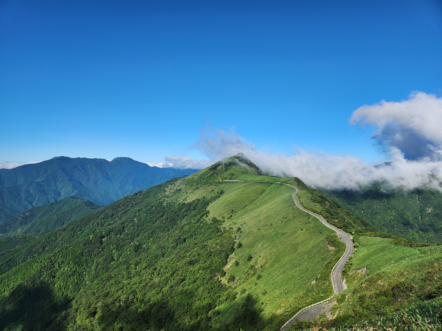 四国百名山だらっと踏破一直線 第17回伊... / TEAM志刻Walkerさんのモーメント | YAMAP / ヤマップ