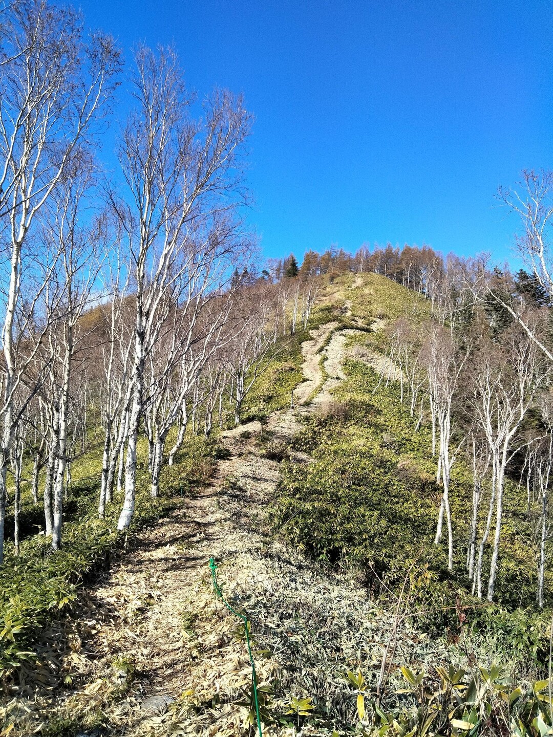 紅葉、大展望、急登を越えて経ヶ岳 北沢山・コイノコ・経ヶ岳・大泉山 / もすさんの経ヶ岳・坊主岳の活動データ | YAMAP / ヤマップ