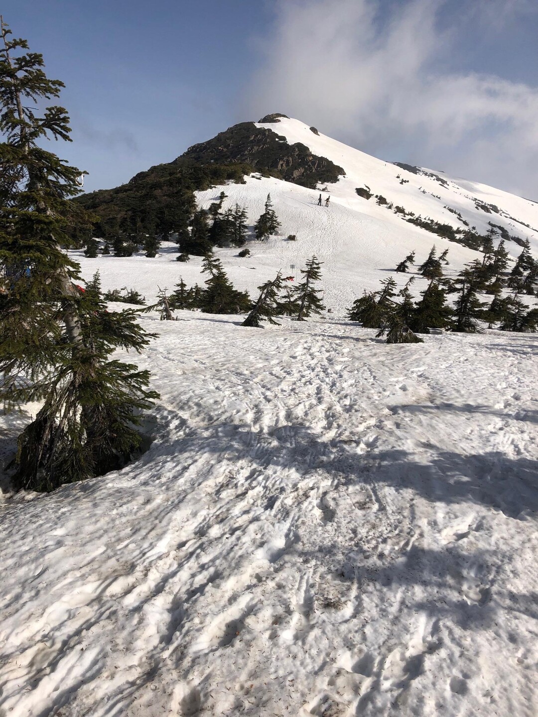 至仏山-残雪期 / aqさんの尾瀬・至仏山・悪沢岳・笠ヶ岳の活動データ | YAMAP / ヤマップ