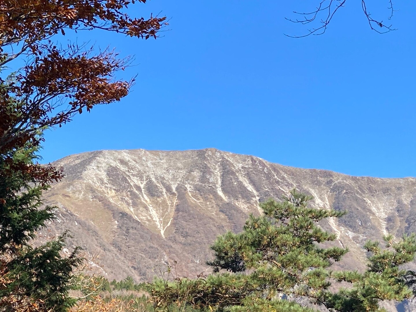 弥高山・伊吹山 / 自由人さんの伊吹山・伊吹高原・御座峰の活動データ | YAMAP / ヤマップ