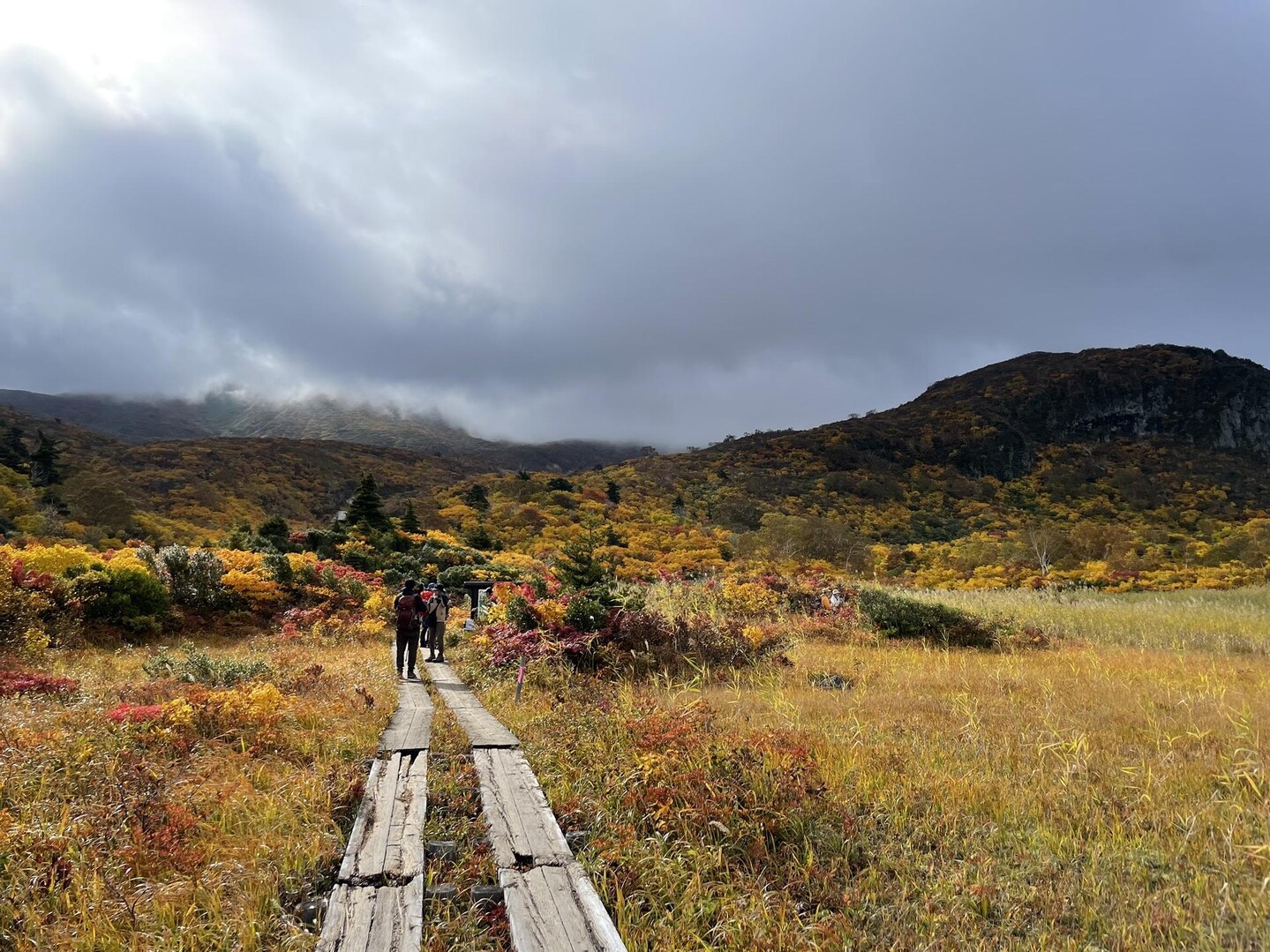 秋の栗駒 / neroさんの栗駒山（須川岳）・秣岳・虚空蔵山の活動データ | YAMAP / ヤマップ