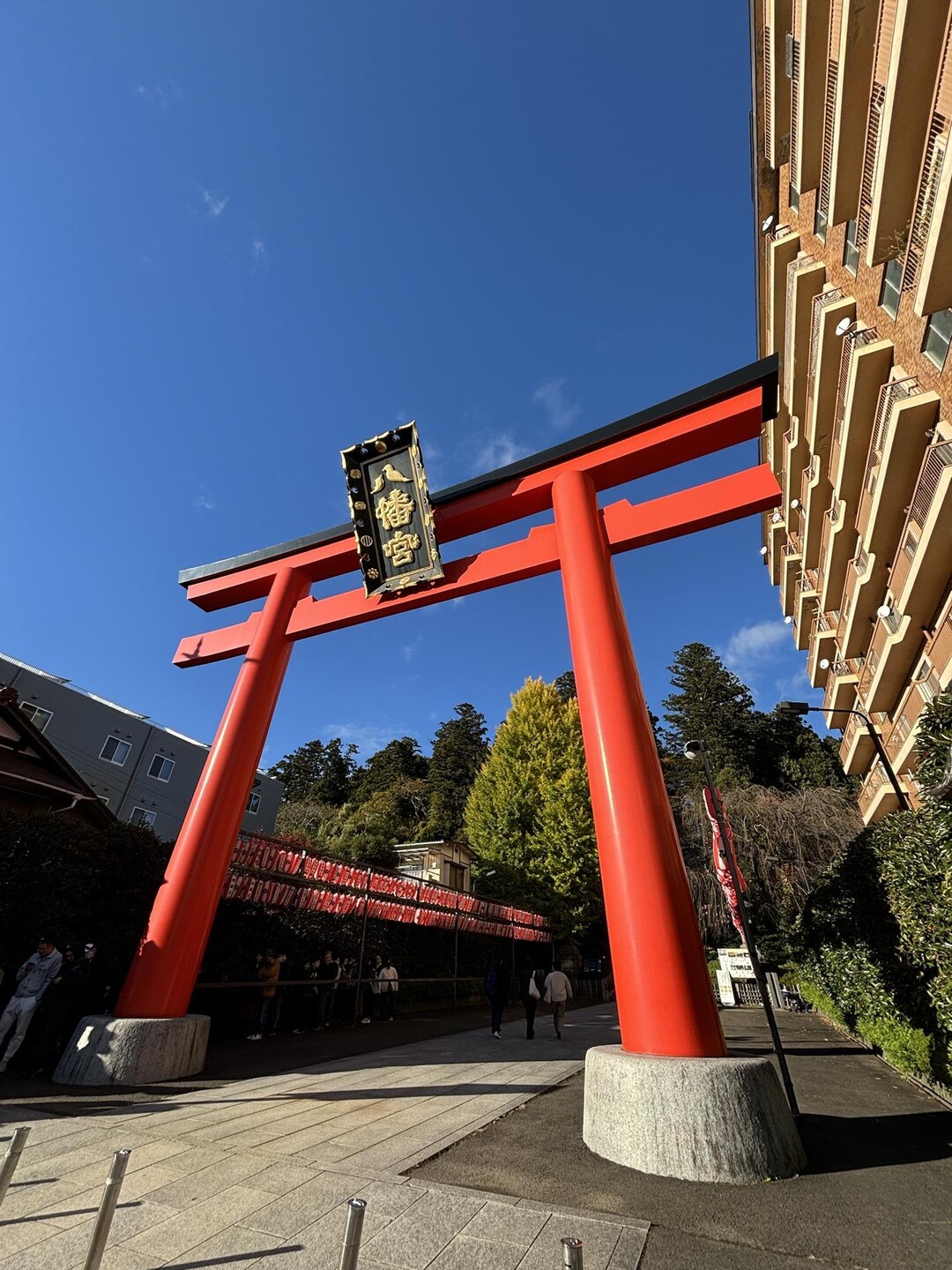 仙台市-2024-11-23 / なかのわたりさんの仙台市の活動データ | YAMAP / ヤマップ