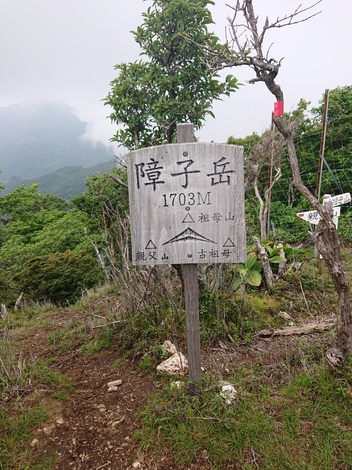 尾平トンネル登山口-尾平越-古祖母山-障子岳 往復コースの地図・登山ルート・登山口情報 | YAMAP / ヤマップ