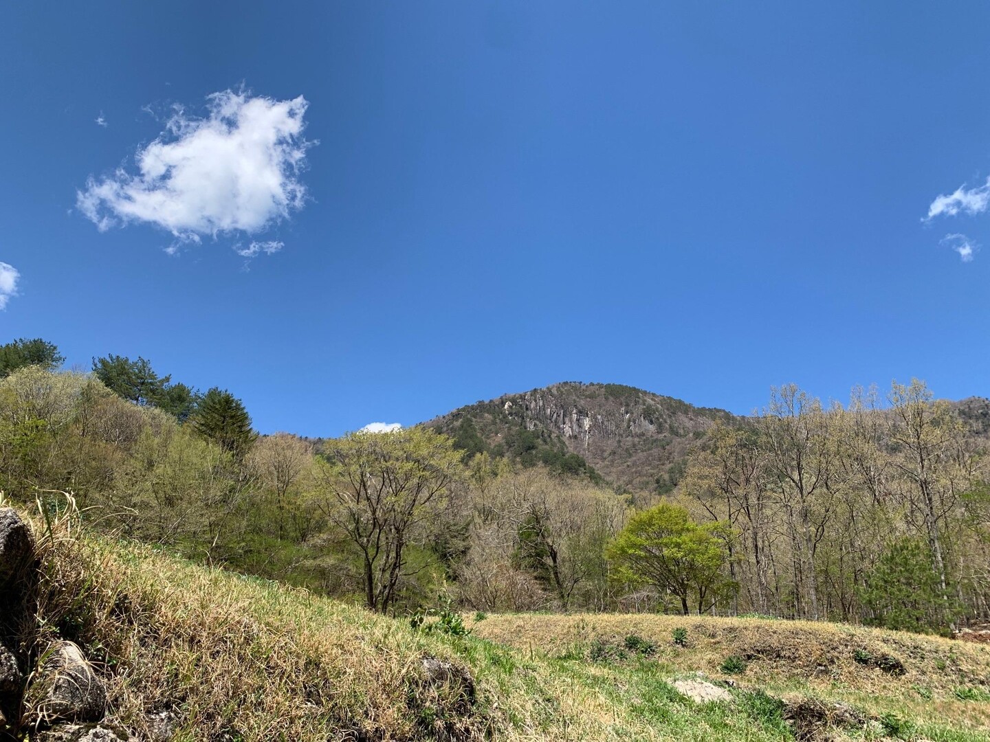 地蔵岳周回 / banffさんの大崩山・五葉岳・新百姓山の活動データ | YAMAP / ヤマップ