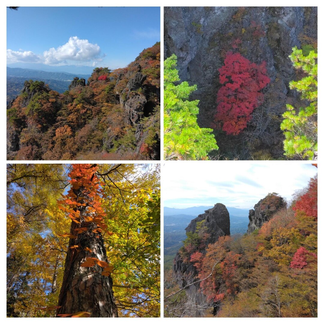 ぐるっと満喫🥰やっぱり🍁霊山🍁 / mi-canさんの霊山の活動データ | YAMAP / ヤマップ