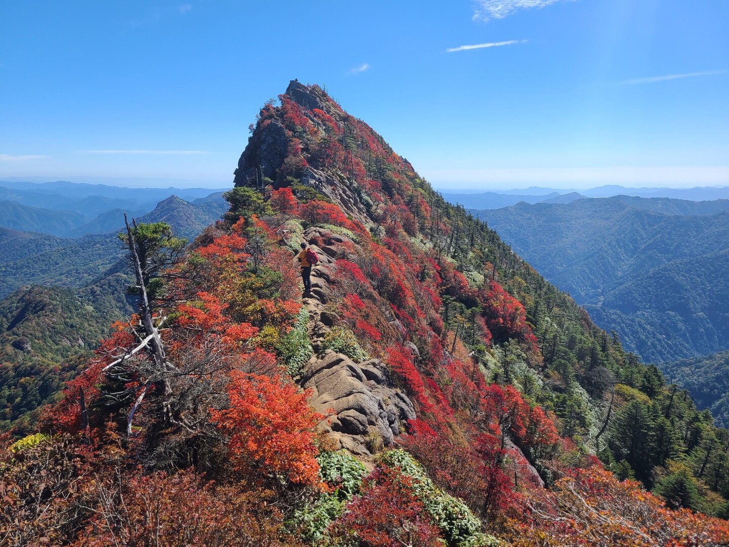 西之川からぐるっと / jnkさんの石鎚山・堂ヶ森・二ノ森の活動データ | YAMAP / ヤマップ