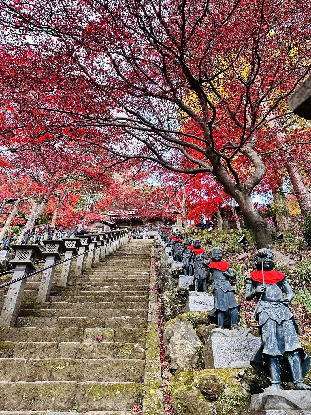 大山トレーニング🏋️ / yamayokoさんの大山の活動データ | YAMAP / ヤマップ