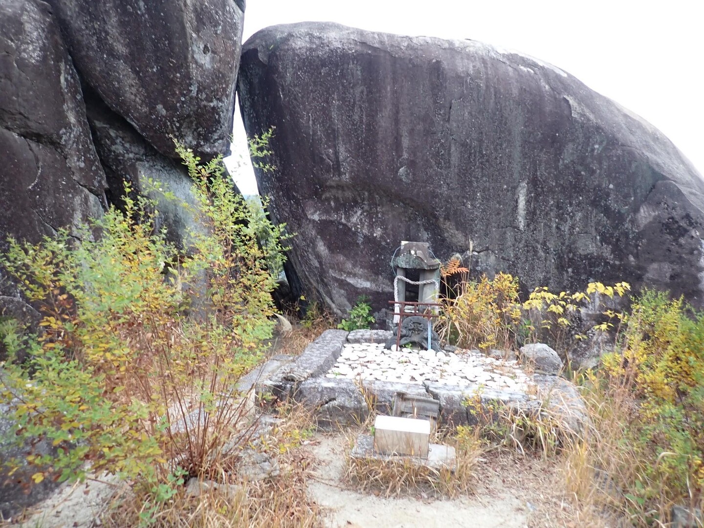 アスレチック気分で土器山 2023.11.24 / you-Aさんの土器山（八天山）・腰巻山の活動データ | YAMAP / ヤマップ
