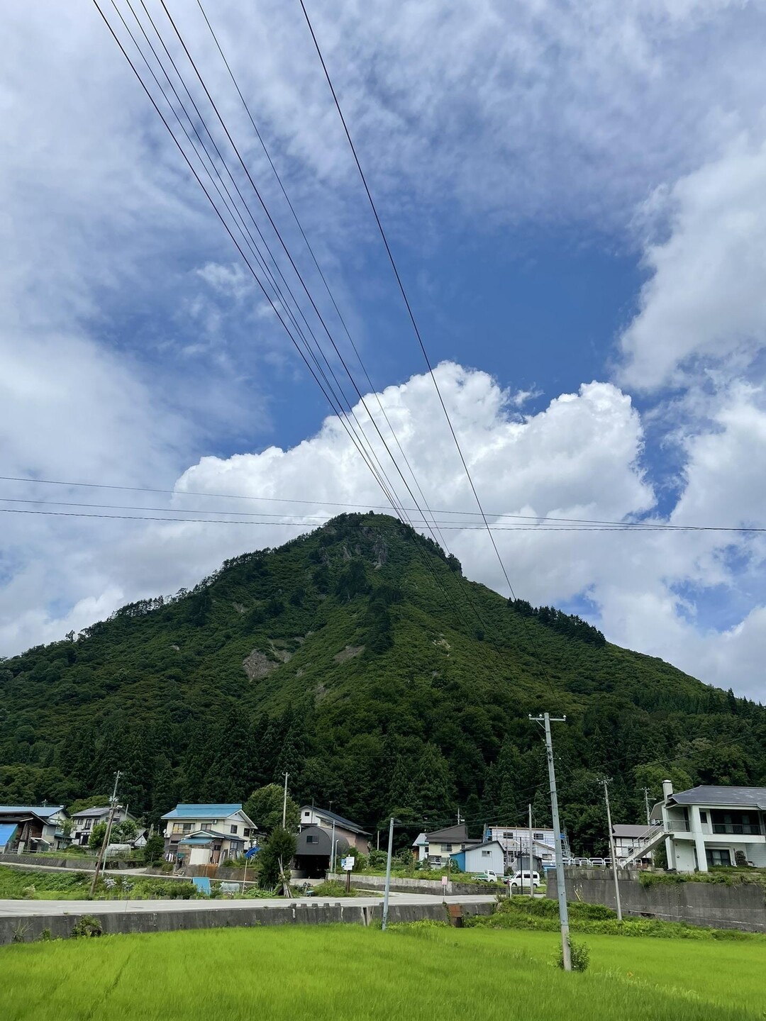 蒲生岳へ / sammyくんさんの蒲生岳の活動データ | YAMAP / ヤマップ