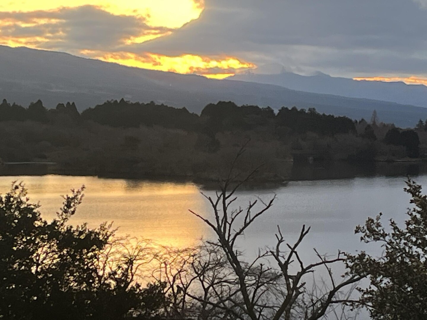 田貫湖のたぬき展望台で、氷菓を見つけた ... / 若紫さんのモーメント | YAMAP / ヤマップ