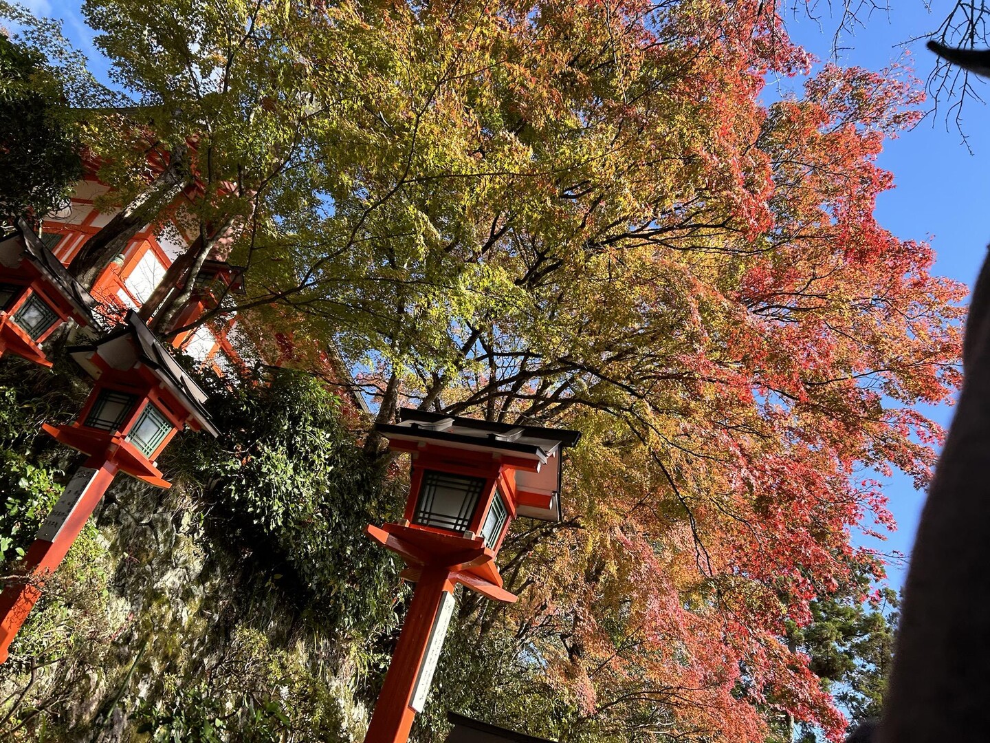 鞍馬寺、貴船神社 20241123 / ryotaさんの京都一周トレイルの活動データ | YAMAP / ヤマップ