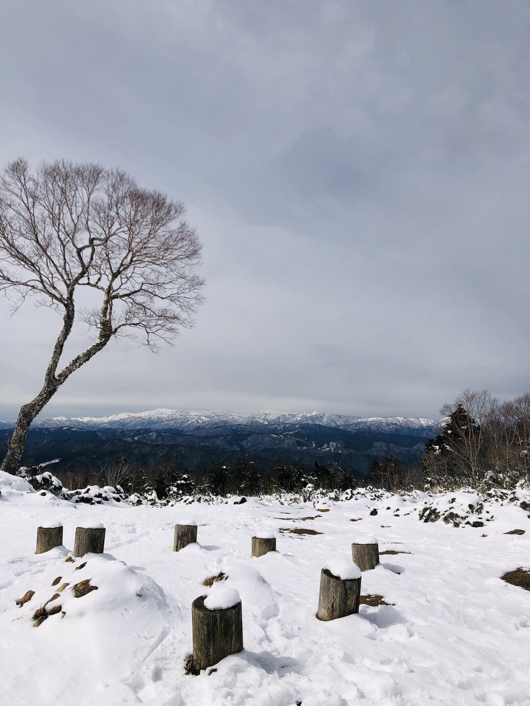 天蓋山登れず…位山へ🗻 / Shimaさんの川上岳・位山・船山（飛騨富士）の活動データ | YAMAP / ヤマップ