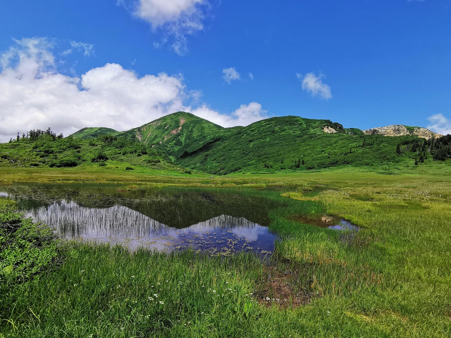 火打山&妙高山 / Sarahさんの妙高山・火打山の活動データ | YAMAP / ヤマップ