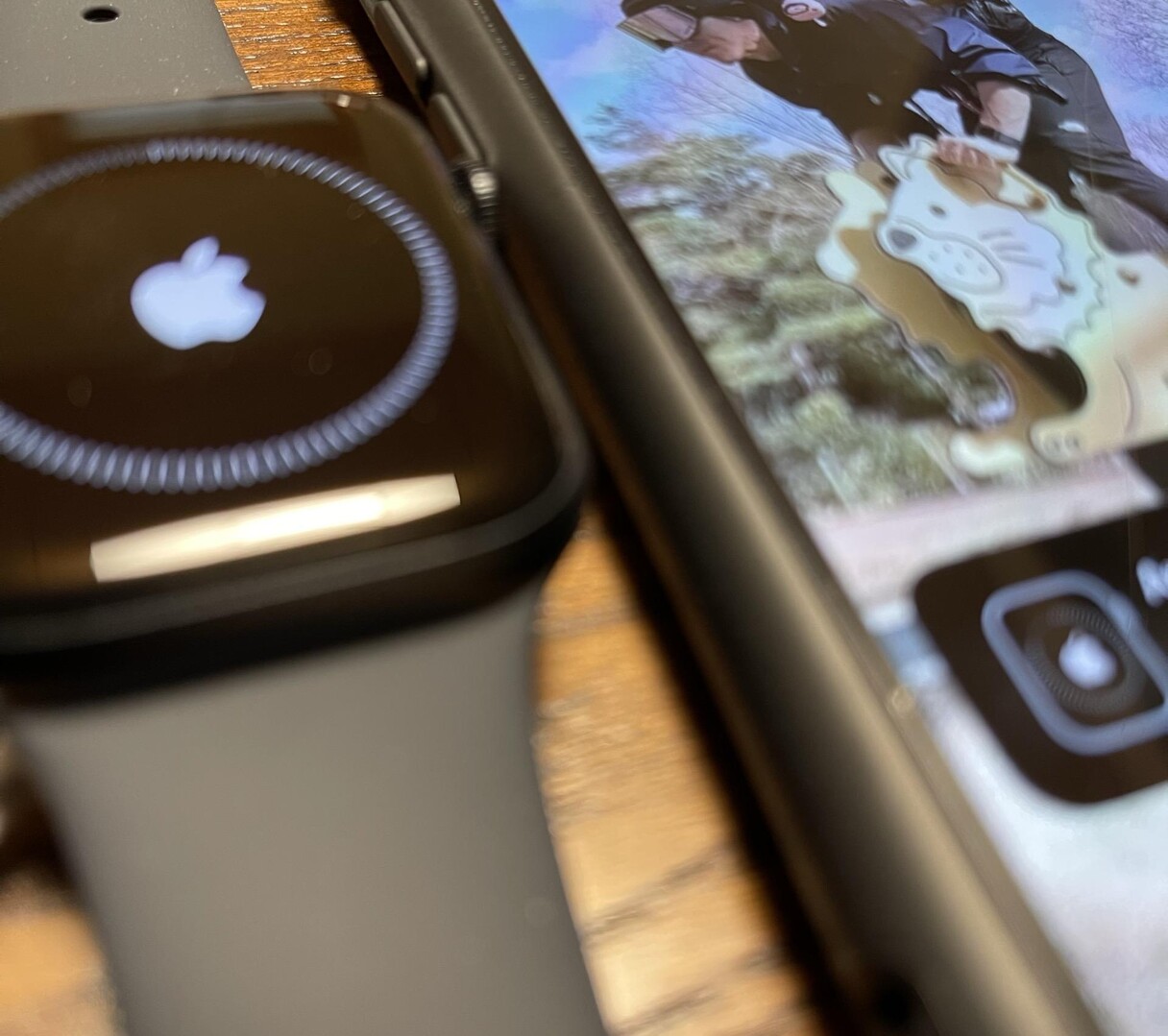 第1弾 Apple Watch手に入れ... / naossanさんのモーメント | YAMAP / ヤマップ