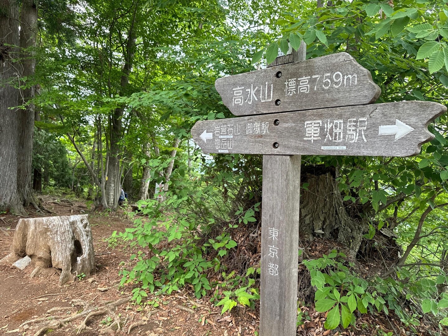 高水三山@東京都青梅市 / smashaceさんの高水山・岩茸石山・惣岳山の活動データ | YAMAP / ヤマップ