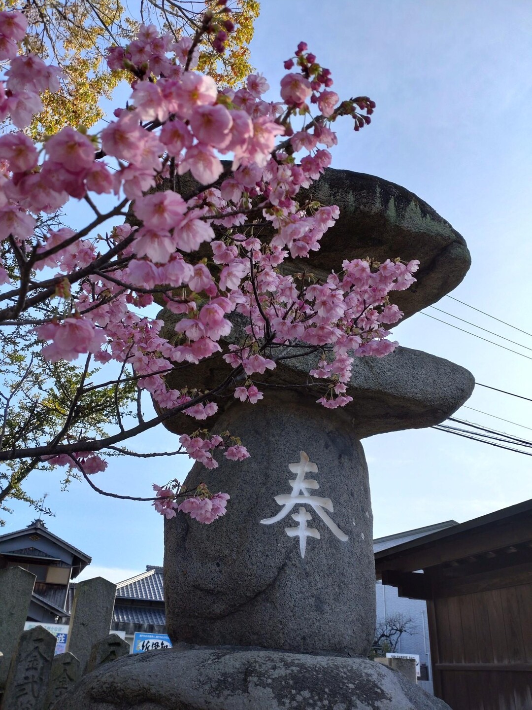 四国遍路53番圓明寺 / potiさんの四国遍路その15の活動データ | YAMAP / ヤマップ