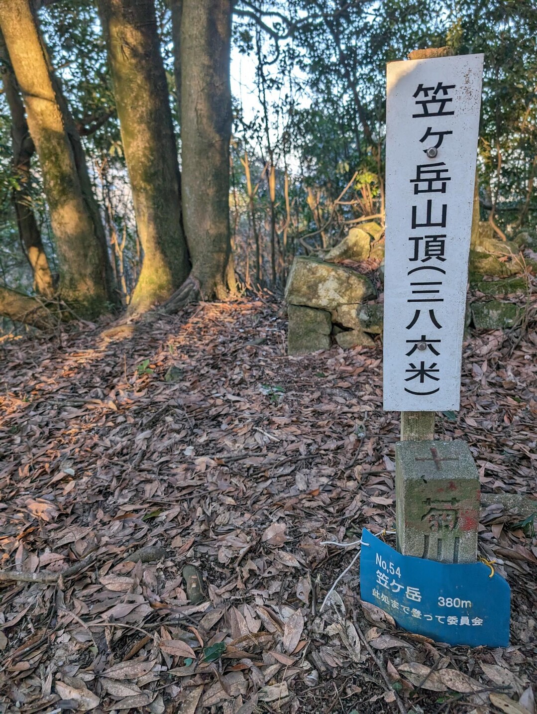 初🔰北浦スカスカスカ−イライン 笹ヶ岳で迷う / k501さんの竜王山・鋤尖山・鬼ヶ城の活動データ | YAMAP / ヤマップ