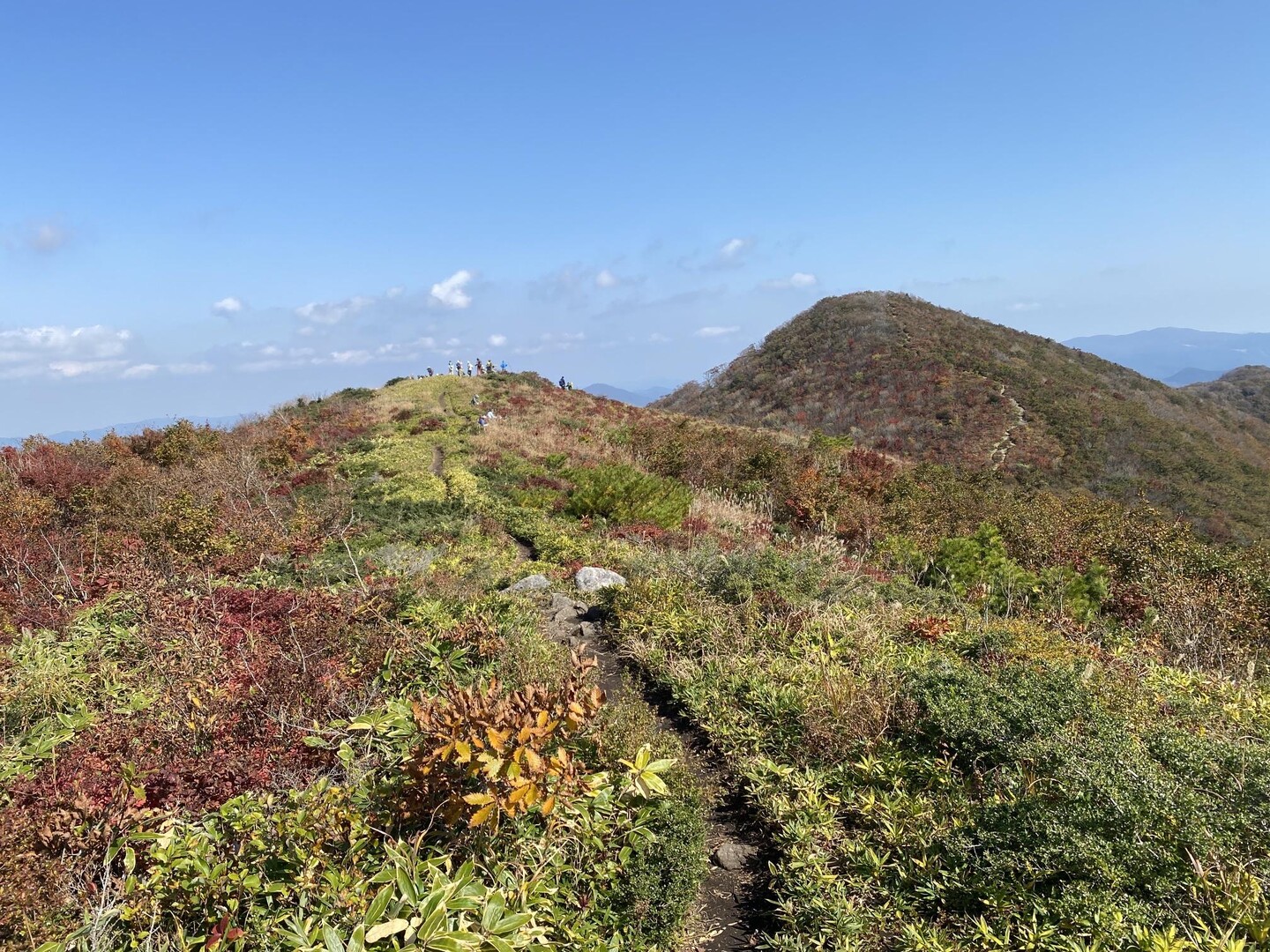 池ノ段 / キョロやまくんさんの比婆山・立烏帽子山・吾妻山の活動データ | YAMAP / ヤマップ