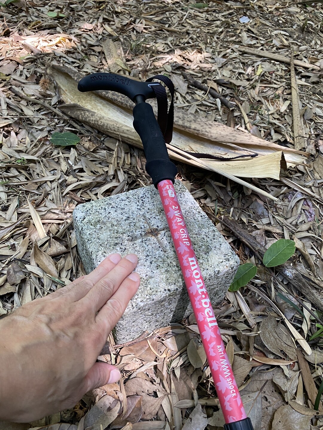 もひとつおかわり、医王寺山 / t@ke-bowさんの古賀市の活動データ | YAMAP / ヤマップ