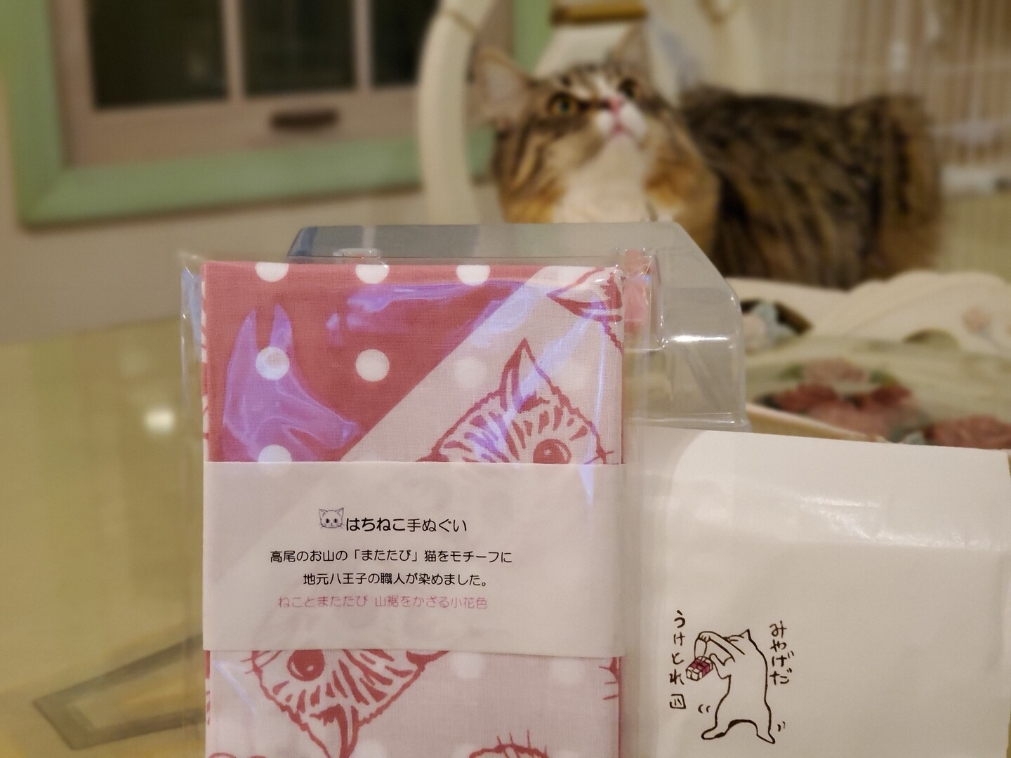 裏高尾にある するさしのお豆腐やさん。 ... / amiさんのモーメント | YAMAP / ヤマップ