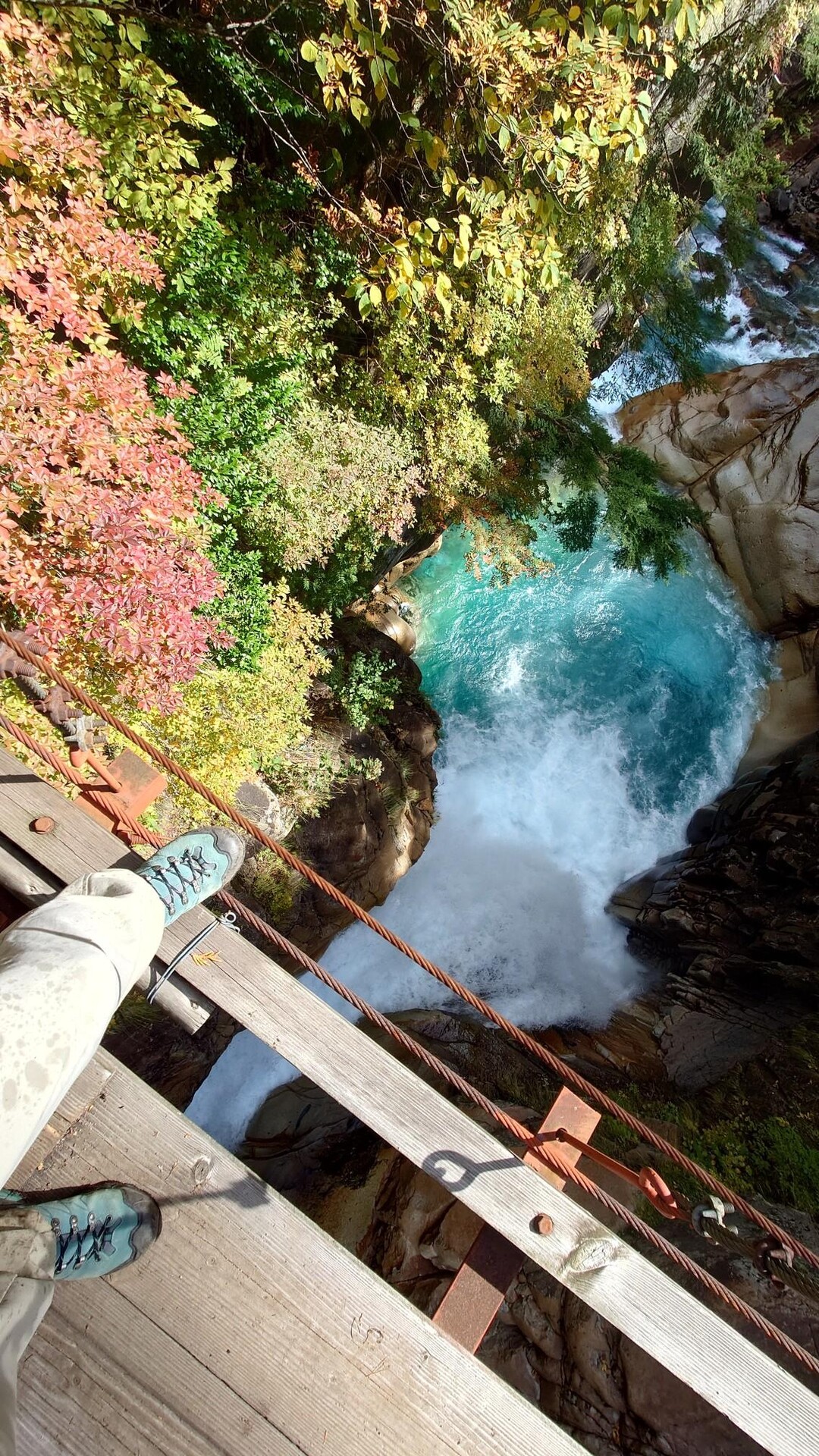旧日電歩道♨水平歩道 / aaa521さんの剱岳の活動データ | YAMAP / ヤマップ