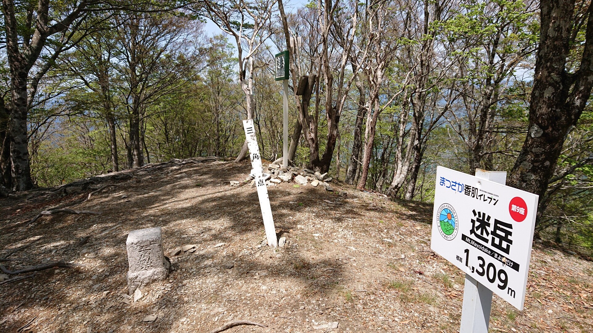 飯盛山（北峰）・飯盛山・迷岳 香肌11⑨ / yuniiiさんの迷岳・白倉山・古ヶ丸山の活動データ | YAMAP / ヤマップ