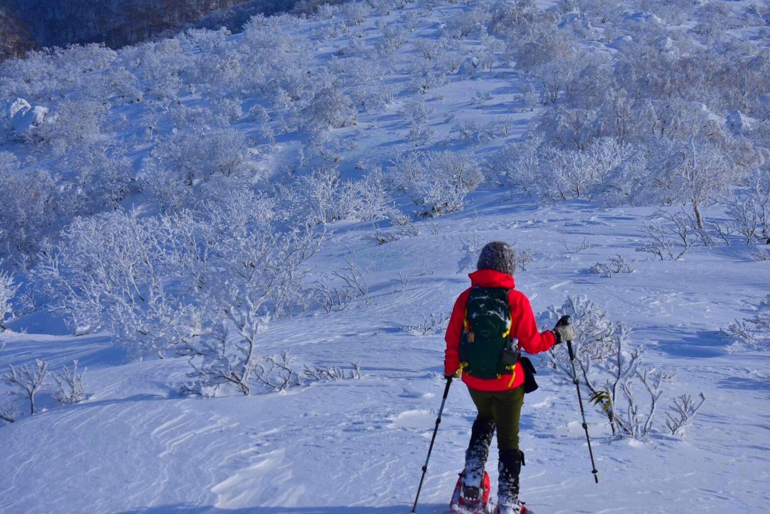 十和田山冬 雪原歩き / 三ッ岳（戸来岳）・十和田山・十和利山の写真19枚目 / さて、山頂の向こうの雪原に下りていきます | YAMAP / ヤマップ