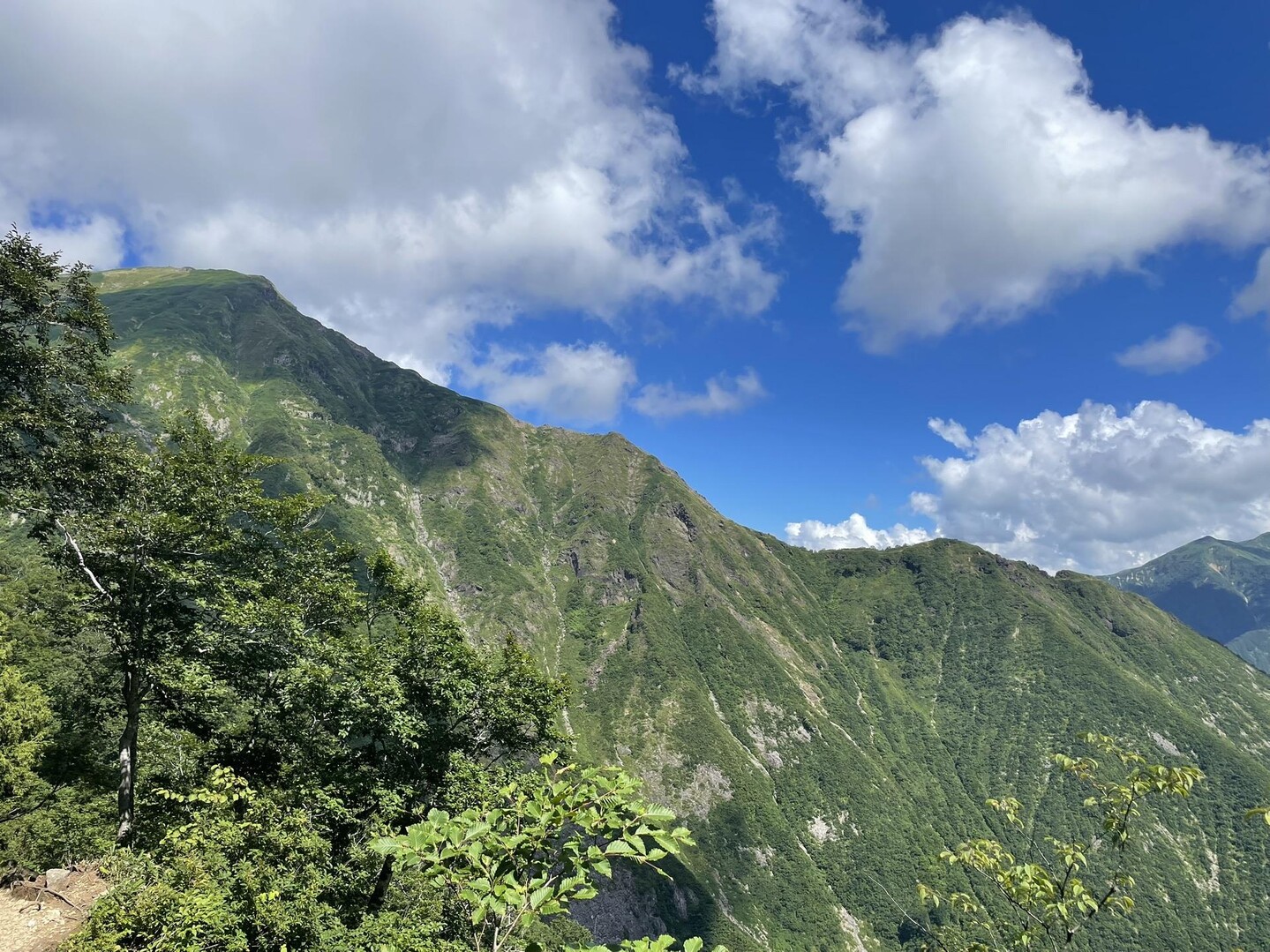夏の谷川岳⛰️西黒尾根🔰〜肩の小屋〜田尻尾根 / kinoさんの谷川岳・七ツ小屋山・大源太山の活動データ | YAMAP / ヤマップ