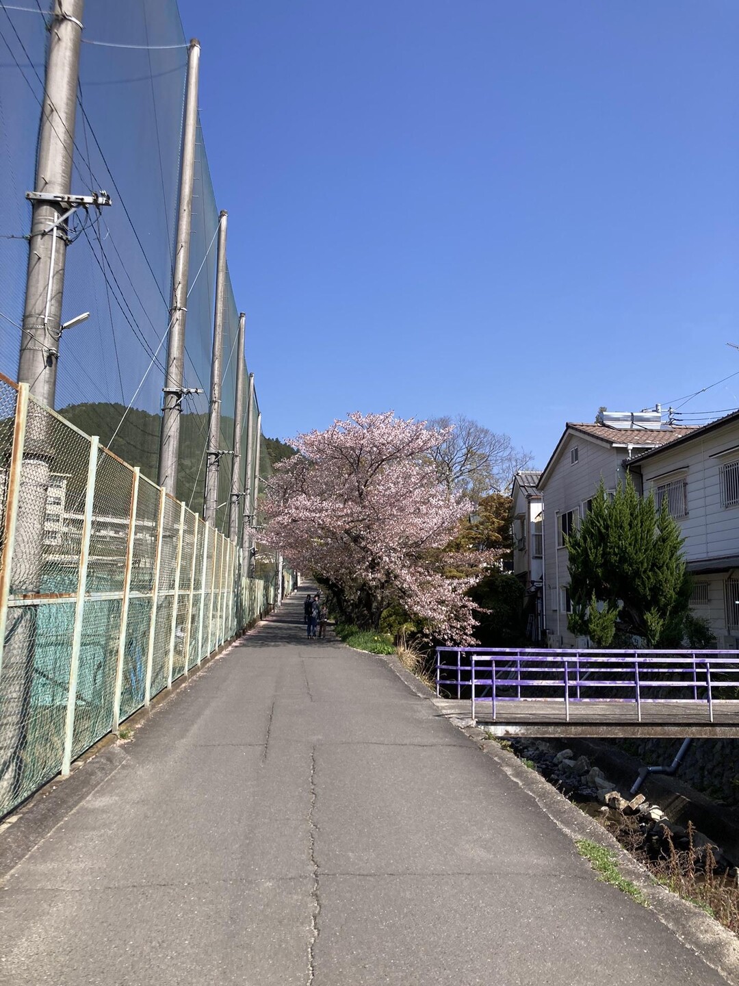 経塚山・大文字山・椿ヶ峰 / keloさんの京都一周トレイルの活動日記 | YAMAP / ヤマップ