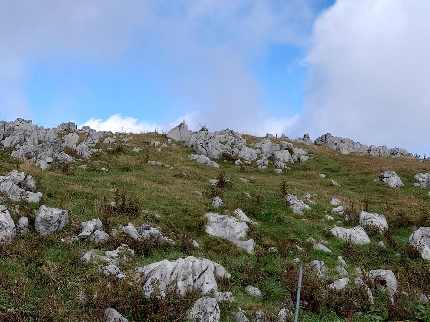 四国カルスト / palさんの天狗ノ森（天狗高原）・黒滝山の活動データ | YAMAP / ヤマップ