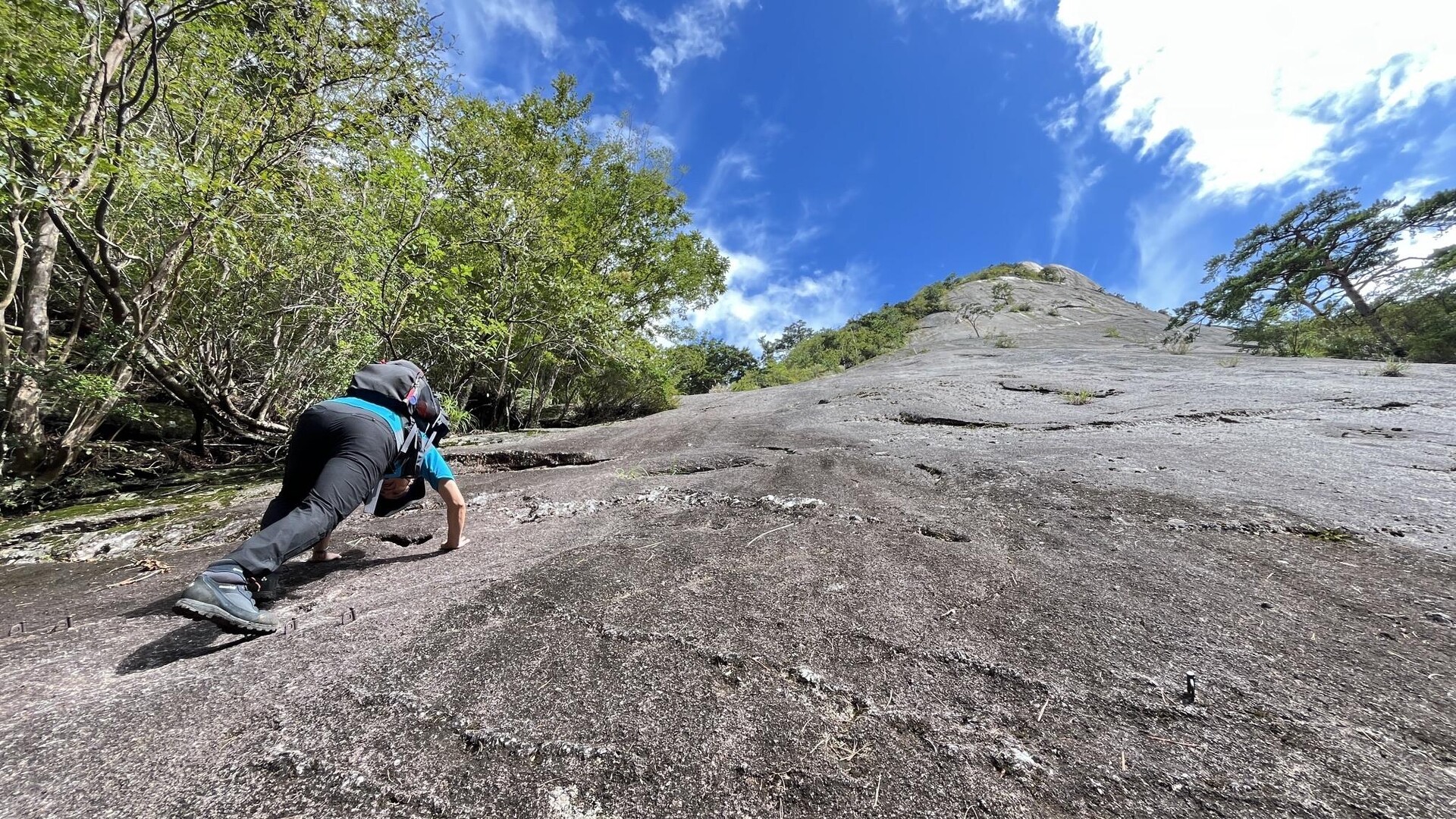 鉾岳 / jan4422さんの鉾岳・鬼の目山の活動データ | YAMAP / ヤマップ